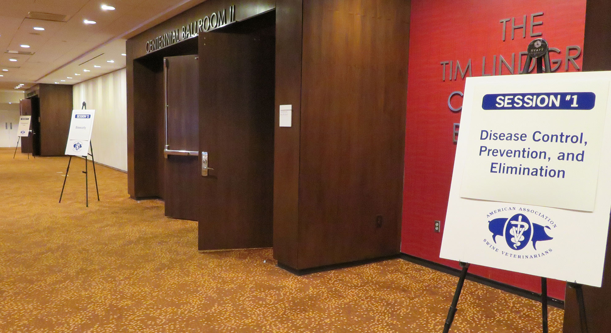 AASV 2020 - Reportagens - 3tres3, A página do porco