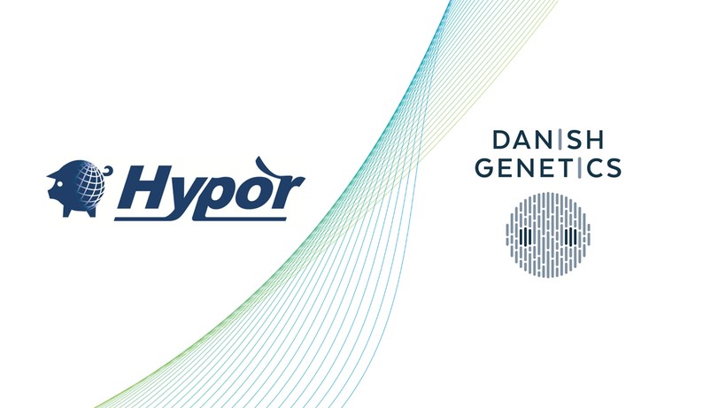Hypor e Danish Genetics fundem-se para formar uma aliança - Noticias de ...