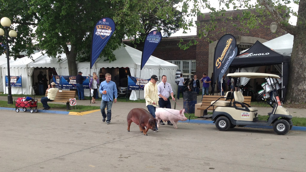 World Pork Expo 2013 - Reportagens - 3tres3, A página do porco